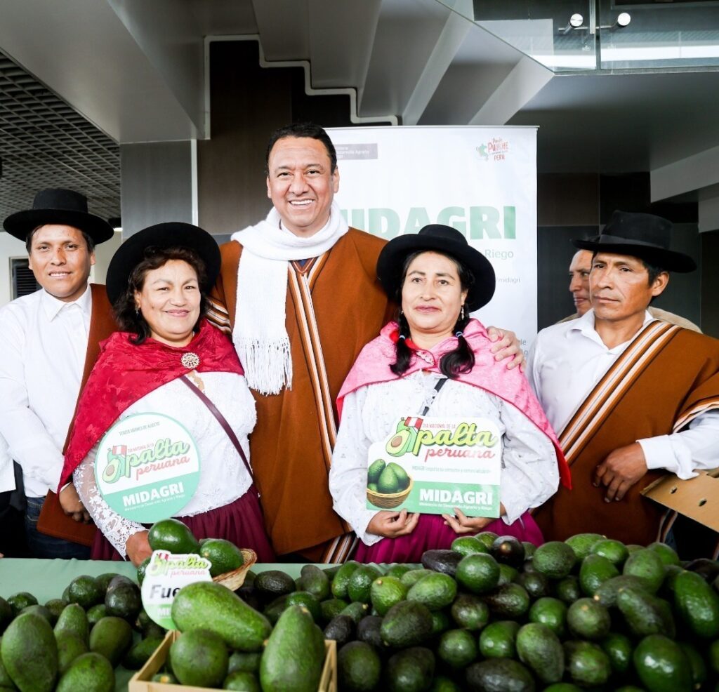 Día Nacional de la Palta: orgullo del agro peruano y embajadora en el mundo