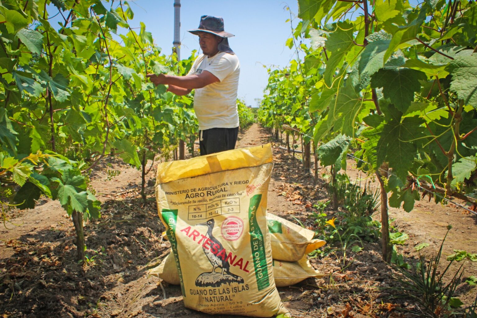 AGRO RURAL entregó más de 20 mil toneladas de guano de las islas y ...